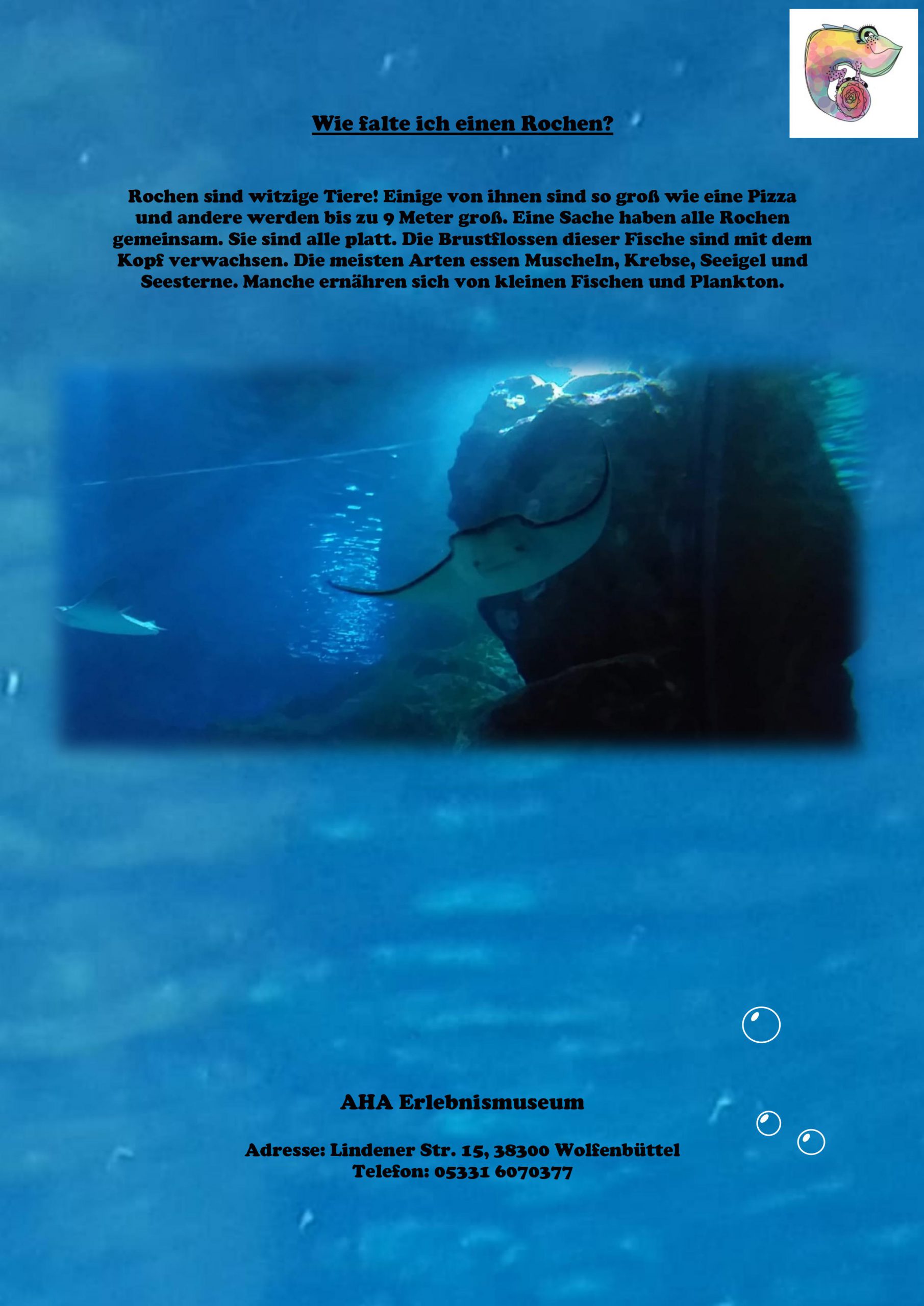Wie falte ich einen Rochen? – AHA-ERLEBNISmuseum für Kinder und ...