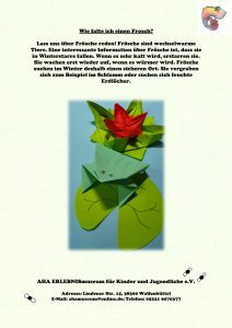 Frosch- und Marienkäfer-Origami – AHA-ERLEBNISmuseum für Kinder und ...