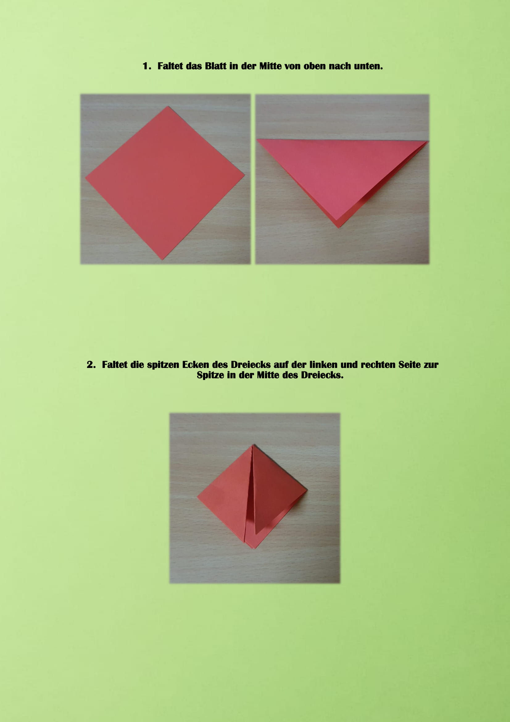 Frosch- und Marienkäfer-Origami – AHA-ERLEBNISmuseum für Kinder und ...