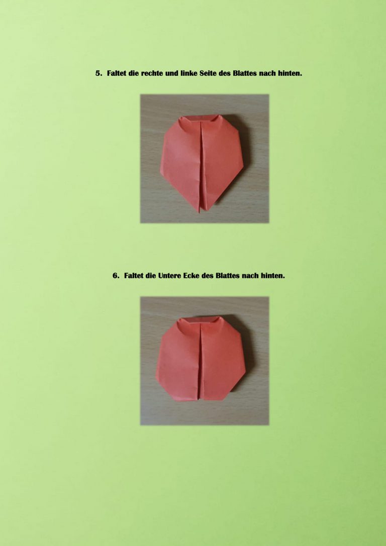 Frosch- und Marienkäfer-Origami – AHA-ERLEBNISmuseum für Kinder und ...